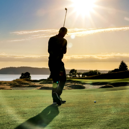 25th Valve Disease, Structural Interventions and Diastology Summit ...