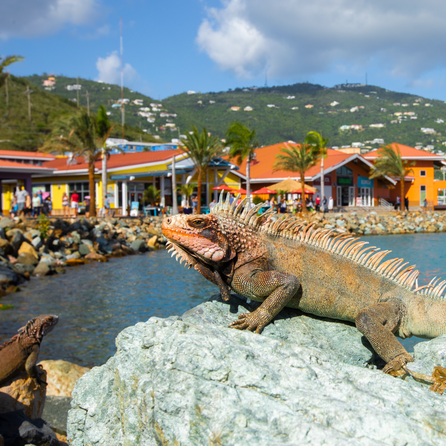 Orofacial Pain and Temporomandibular Disorder Seminar for Travel CE, CDE