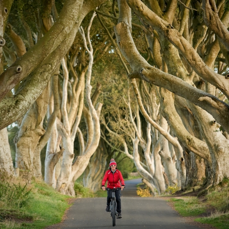 AI Trends in Dentistry Seminar for Travel CE, CDE